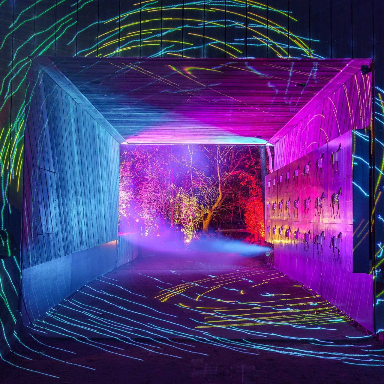 XMAS LIGHTS | Das weihnachtliche Lichtfestival im Allwetterzoo